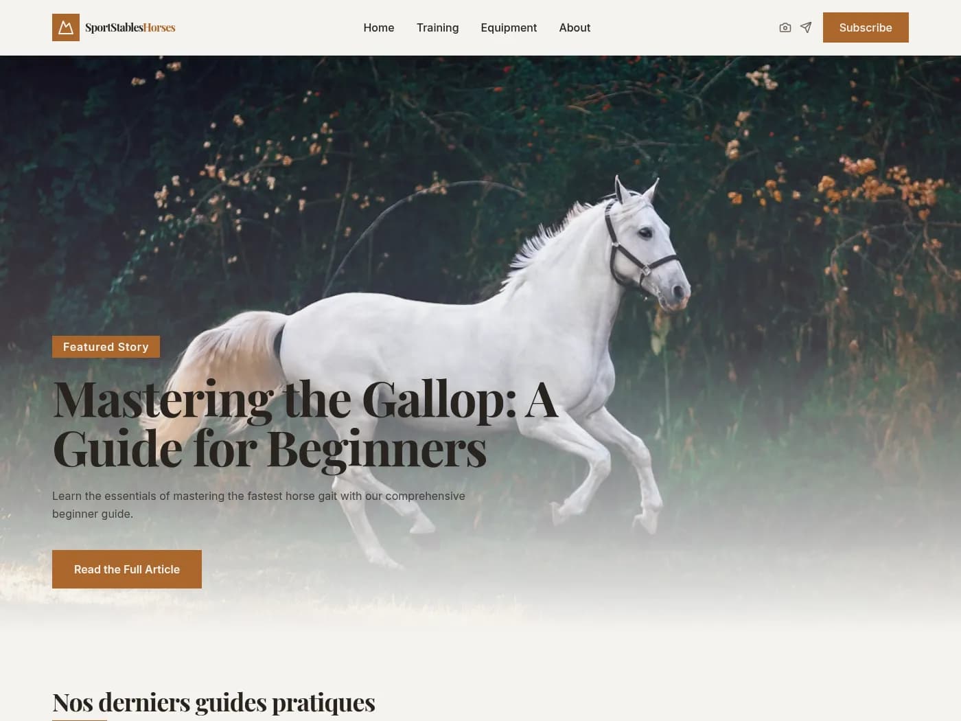 SportStablesHorses Blog